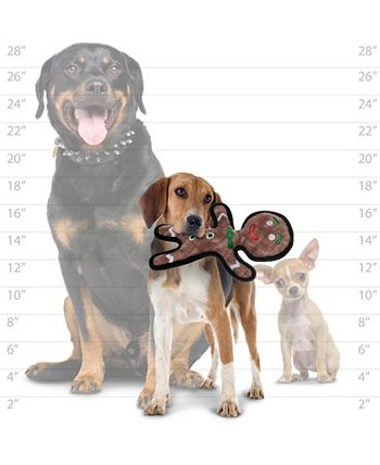 Tuffy Holiday Gingerbread Man, Dog Toy - Macy's