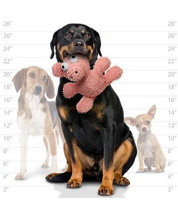 Mighty Microfiber Ball Pig, Dog Toy - Macy's