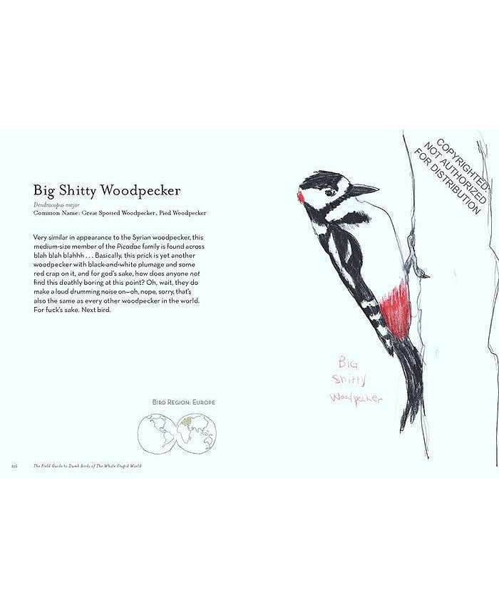 Barnes & Noble The Field Guide to Dumb Birds of the Whole Stupid World ...