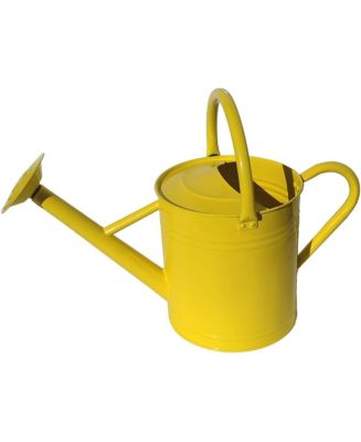 Gardener's Select Gardener Select Metal Watering Can, Yellow, 1.85 ...