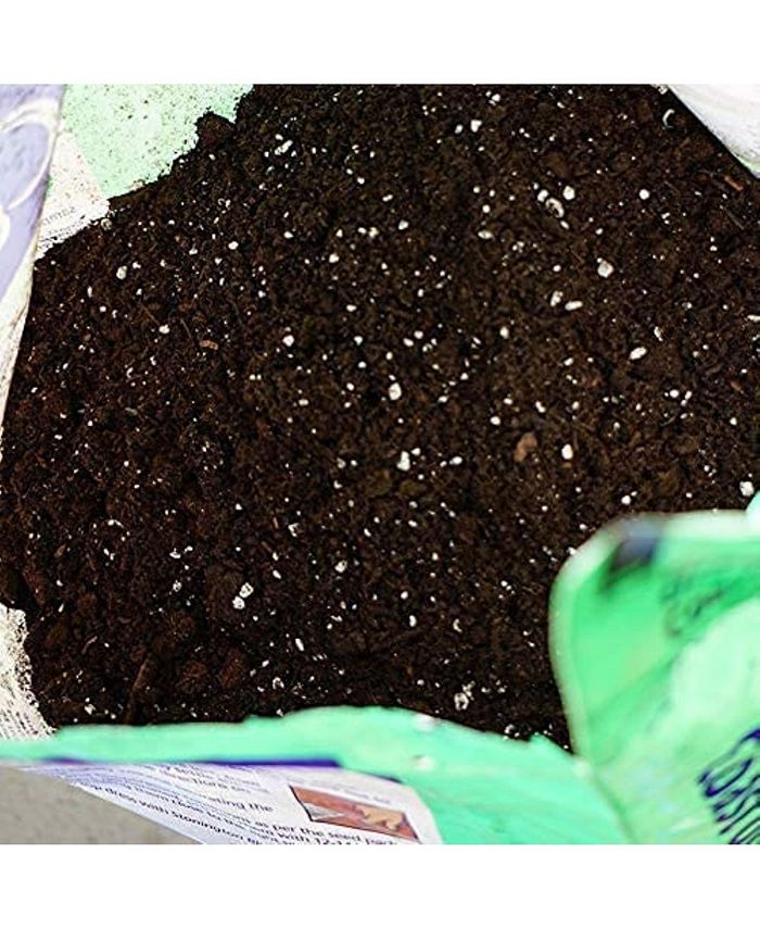 Coast of Maine 1SSI16 Sprout Island, Organic Seed Starter, 16qt - Macy's