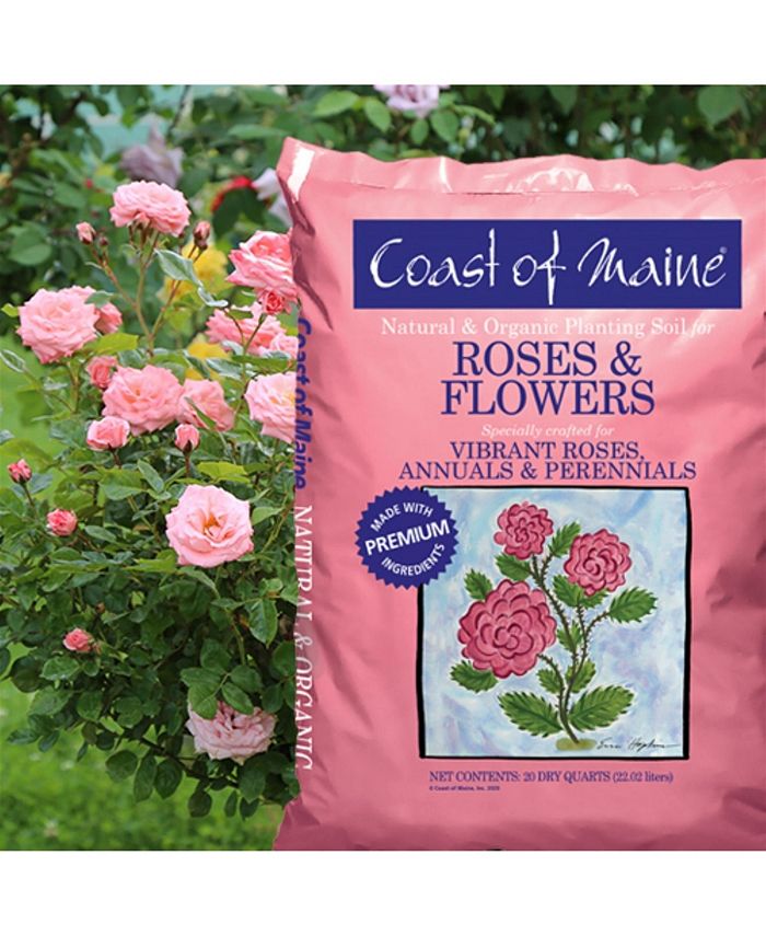 Coast of Maine Roses and Flowers Organic Planting Soil 20qt - Macy's