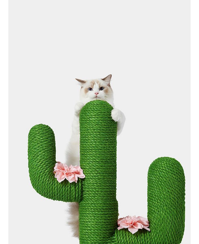 VETRESKA Oasis Cactus Cat Scratching Post, Cactus Cat Scratchers Kitten ...
