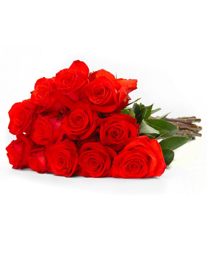 BloomsyBox One Dozen Long Stem Red Roses Fresh Flower Bouquet - Macy's