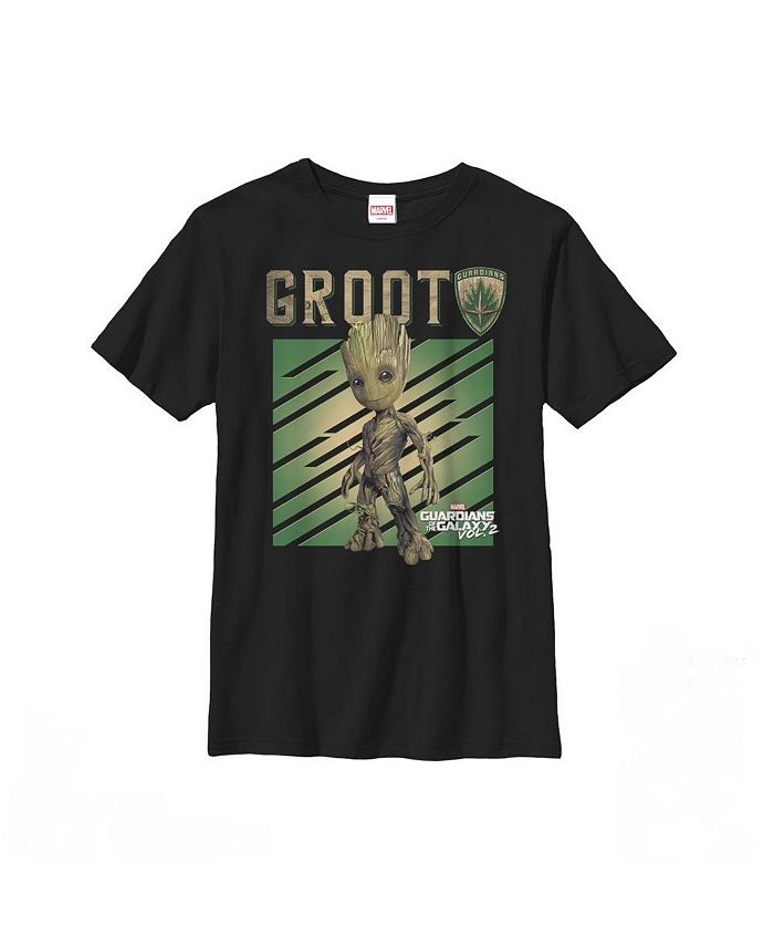 Marvel Boy's Guardians of the Galaxy Vol. 2 Groot Growth Child T-Shirt ...