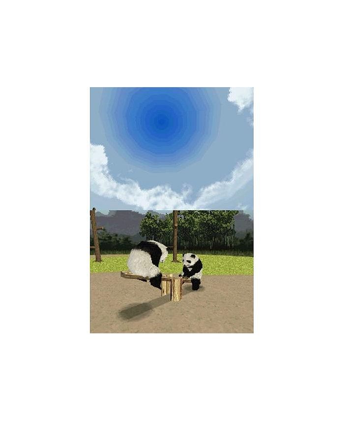 Namco Bandai National Geographic Panda - Nintendo DS - Macy's