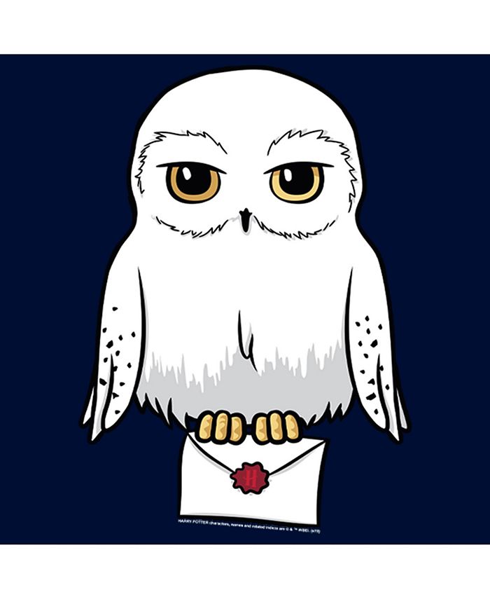 Warner Bros. Boy's Harry Potter Cartoon Hedwig Letter Child T-Shirt ...