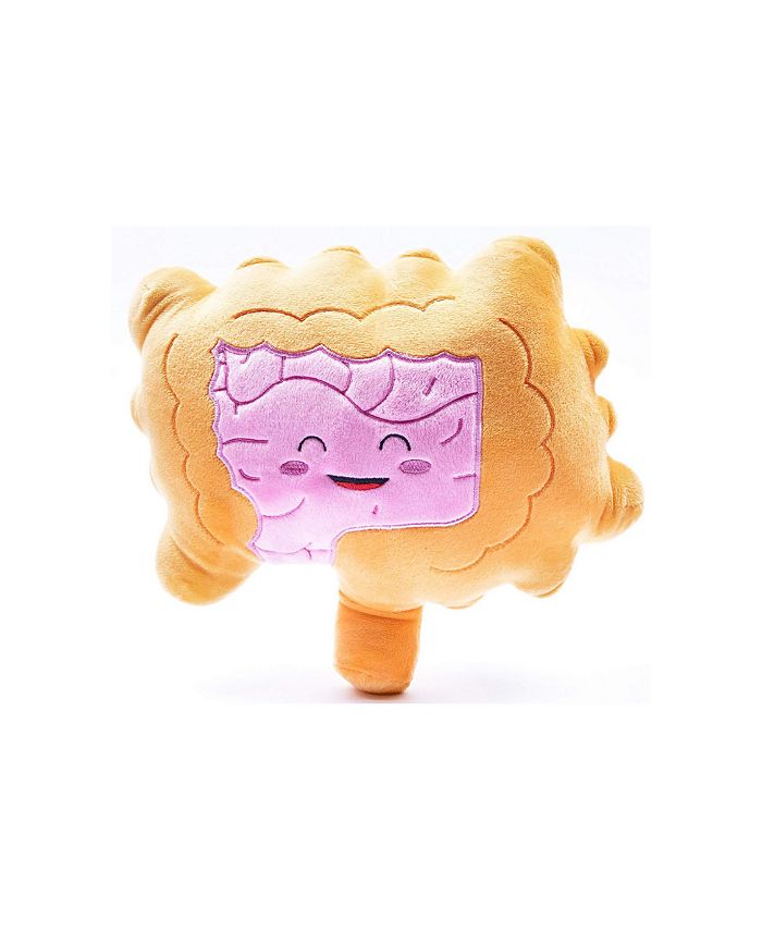 Nerdbugs Intestines/Colon Plush Organ Toys - Intestined for Greatness ...
