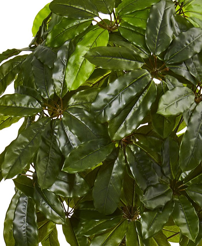 Nearly Natural 6' Scheffler Indoor/Outdoor Artificial Tree - Macy's