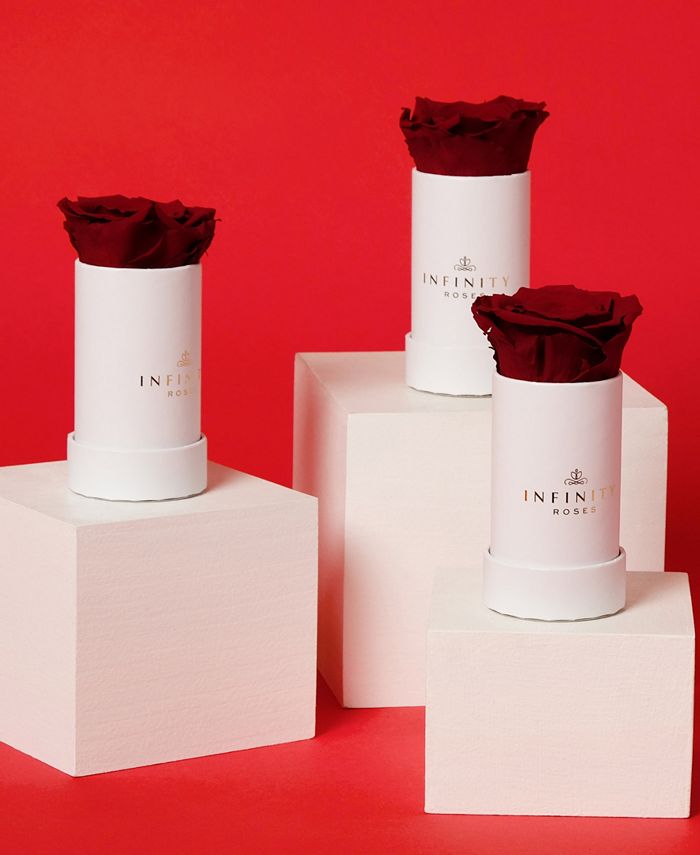 Infinity Roses Single Red Real Rose Preserved To Last Over A Year - Macy's