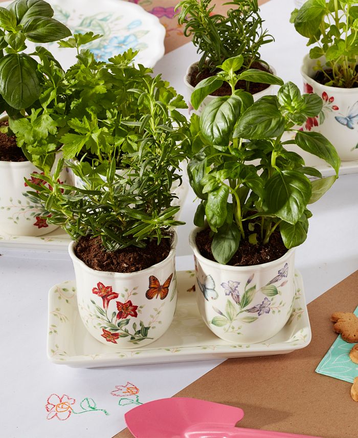 Lenox Butterfly Meadow 3-Piece Herb Pots Tray Set - Macy's