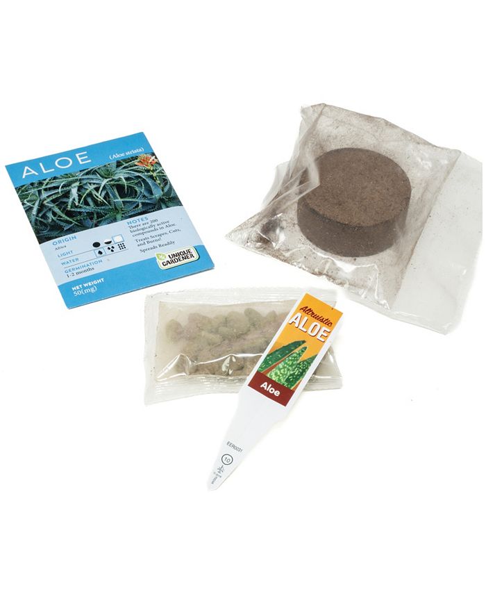 Areyougame Unique Gardener Seed Squares Altruistic Aloe Plant Kit - Macy's