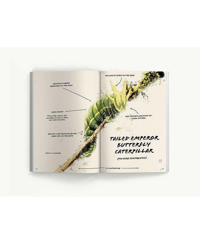 Barnes & Noble The Ultimate Bug Field Guide- The Entomologist's ...
