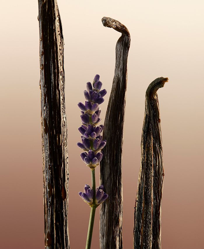 Burberry Burberry Goddess Body Lotion, 6.7 oz. - Macy's