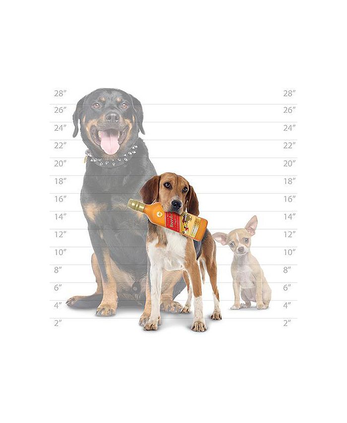 Silly Squeaker Liquor Bottle Doggie Walker, 2-Pack Dog Toys - Macy's