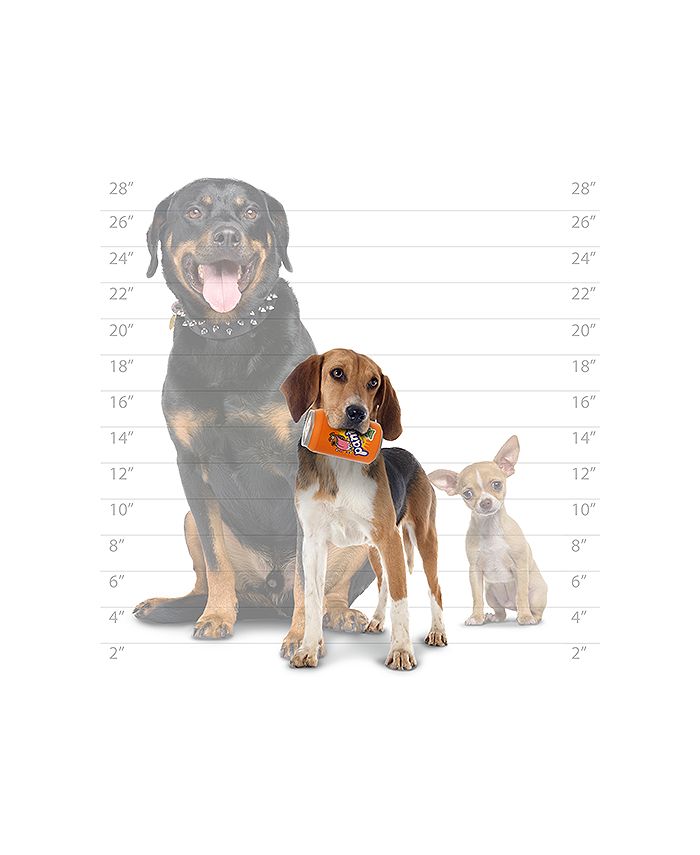 Silly Squeaker Soda Can Panta, 2-Pack Dog Toys - Macy's