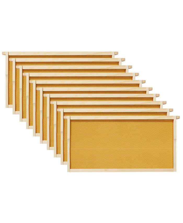 Honey Keeper Complete Deep Hive Body Kit, Painted, Assembled with 10 ...