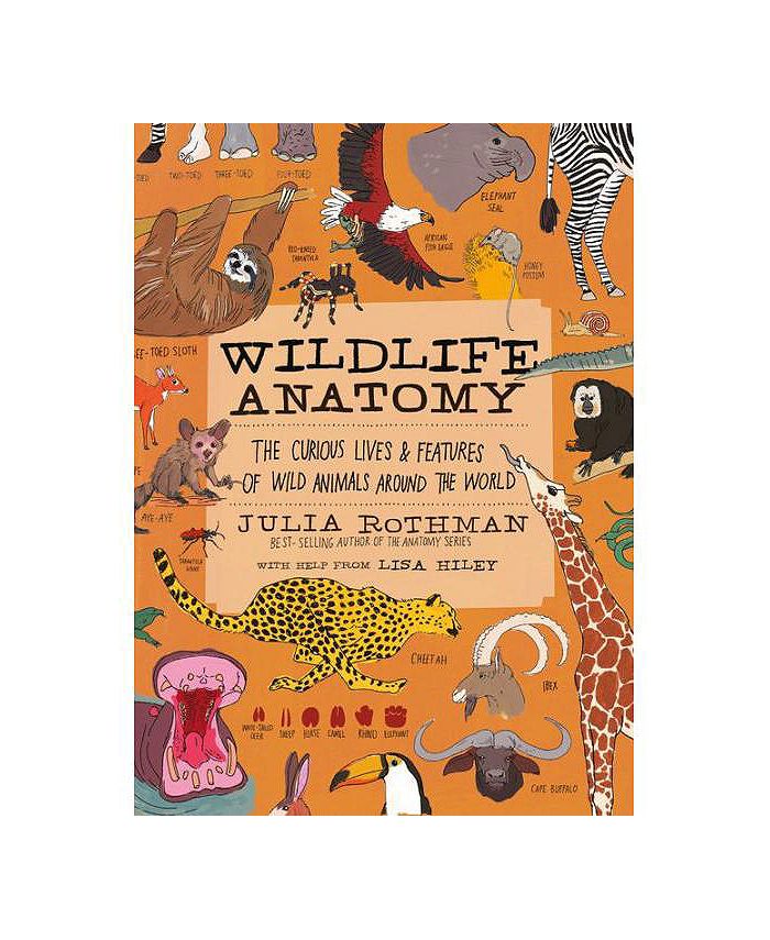 Barnes & Noble Wildlife Anatomy- The Curious Lives & Features of Wild ...