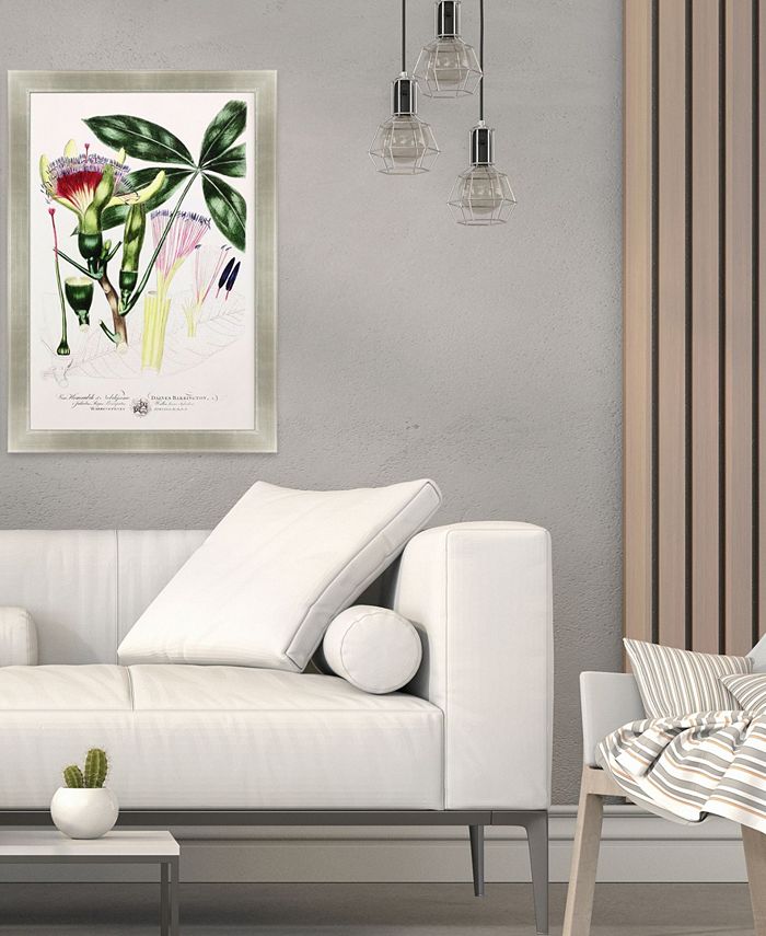 Paragon Picture Gallery Imperial Tropical II Framed Art - Macy's