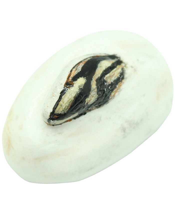 WILD! Science Wild Environmental Science - Extreme Snakes of the World ...