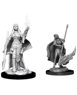 Wizkids Pathfinder Battles Deep Cuts Unpainted Female Human Oracles ...