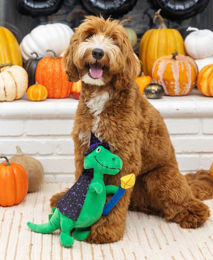 Fringe Studio Spell-A-Saurus Plush Dog Toy - Macy's