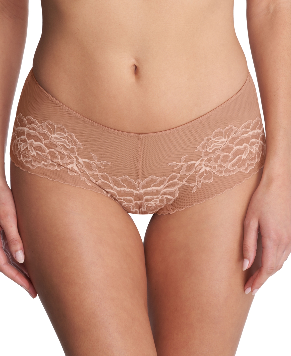 Click here for Natori Flora Sheer Lace Brief 776150 - Glaze / Cas... prices