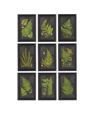 Framed Fern Botanical Prints Set of 9 - Macy's
