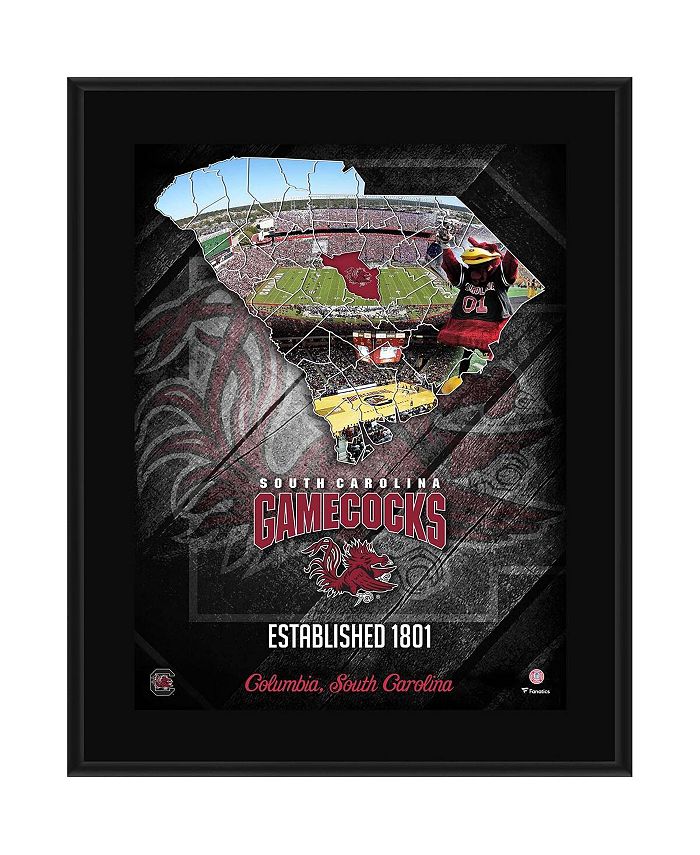 Fanatics Authentic South Carolina Gamecocks 10.5" x 13" 2018 Sublimated ...