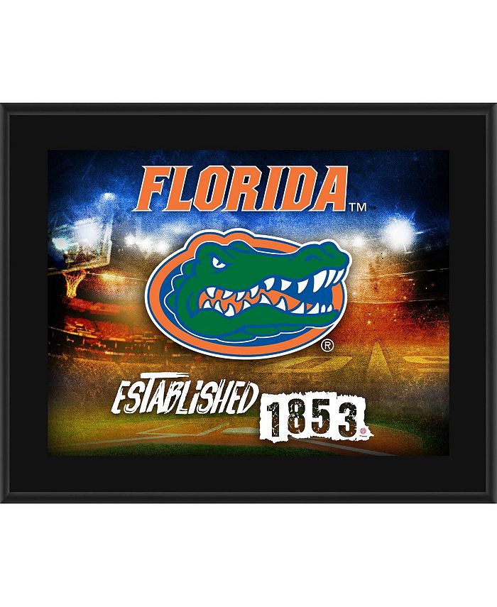 Fanatics Authentic Florida Gators 10.5" x 13" Sublimated Horizontal ...