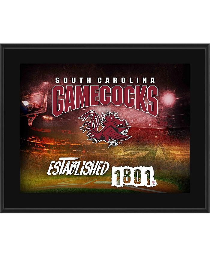 Fanatics Authentic South Carolina Gamecocks 10.5" x 13" Sublimated Horizontal Team Logo Plaque ...