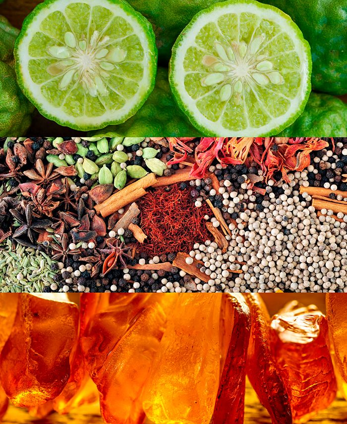 Calvin Klein 3-Pc. Obsession Eau de Parfum Gift Set - Macy's