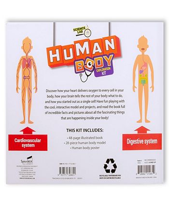 Spicebox Science Lab - Human Body Kit - Macy's