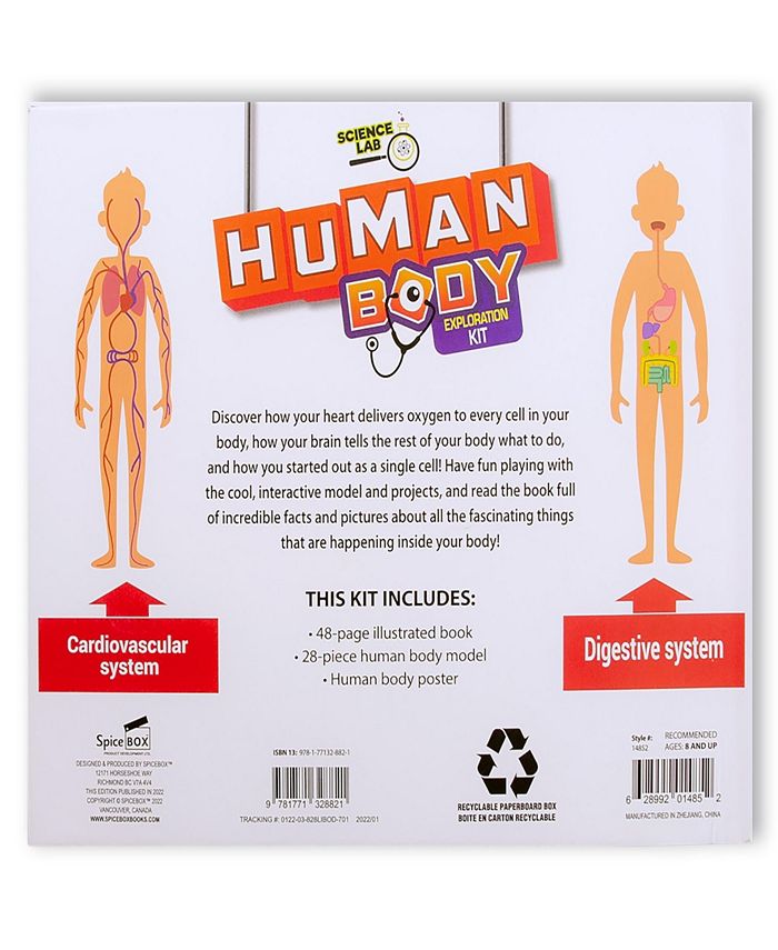 Spicebox Science Lab - Human Body Kit - Macy's