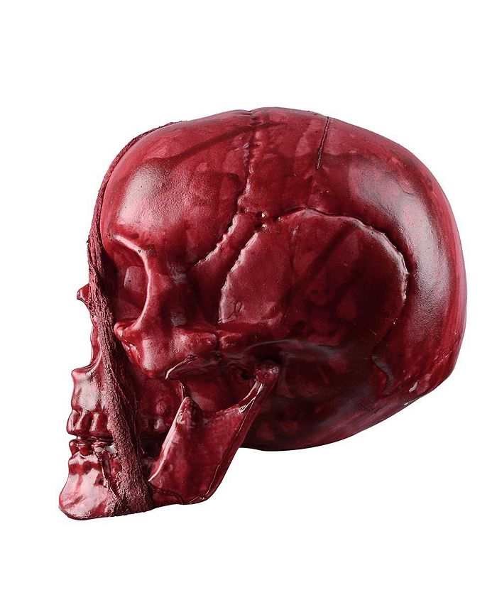Yescom Halloween Skeleton Head Human Skull Plastic Prop Haunted House ...