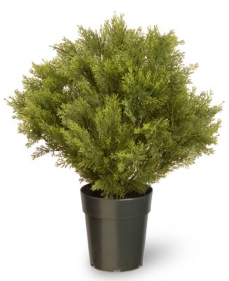 National Tree Company 28 Globe Juniper Tree - Macy's