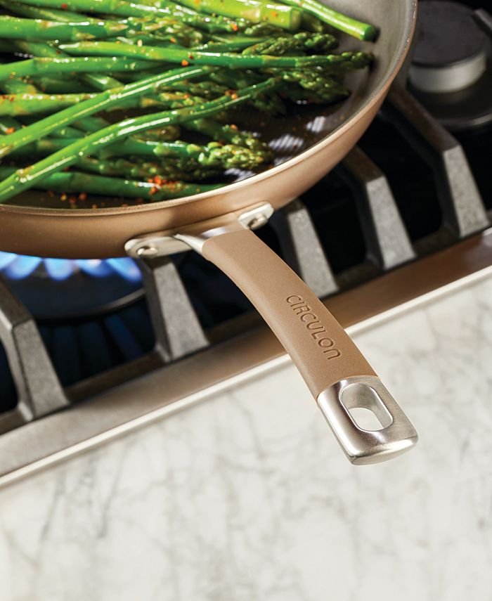 Circulon Premier Professional Hard-Anodized Aluminum 10-Pc. Cookware ...