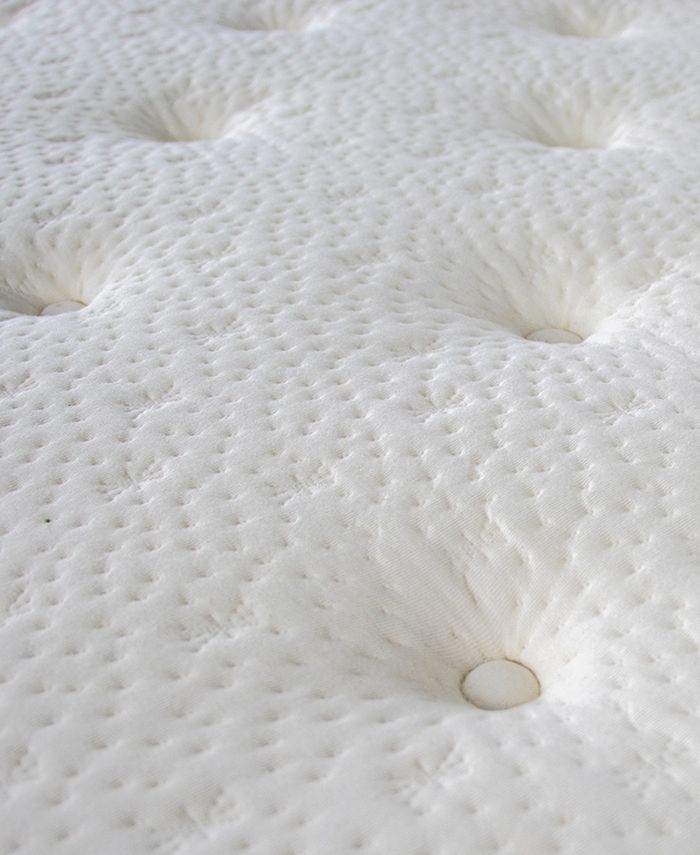 Paramount Nature Spa Jasmine 15" Ultra Plush Eurotop Mattress-King ...