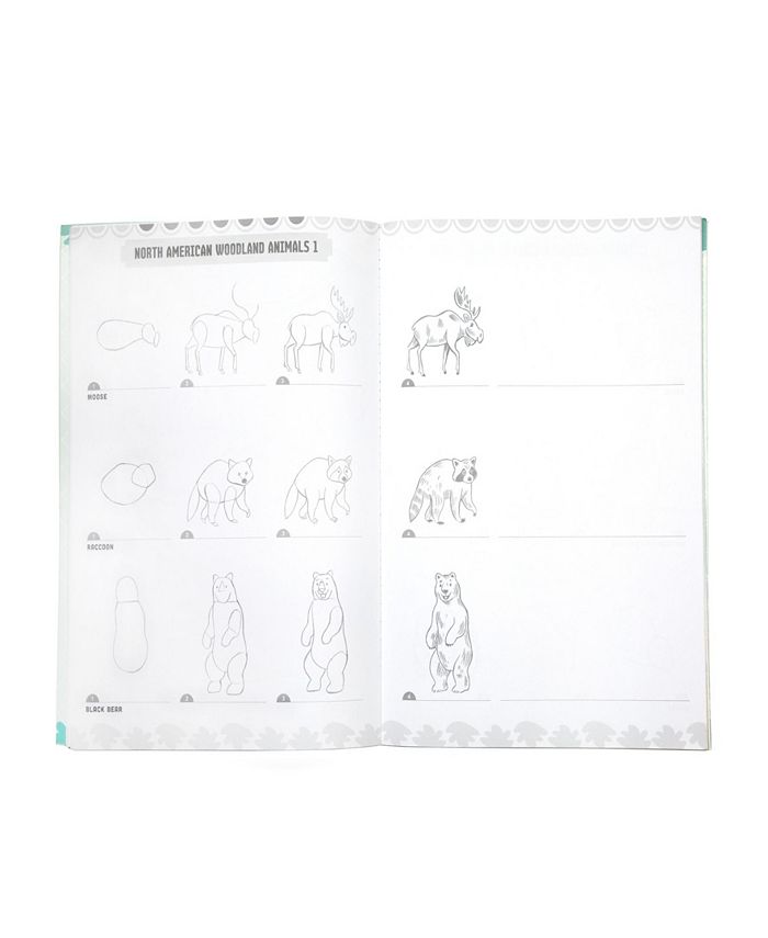 Eeboo Learn to Draw - Wild Animals Drawing Guidebook - Macy's