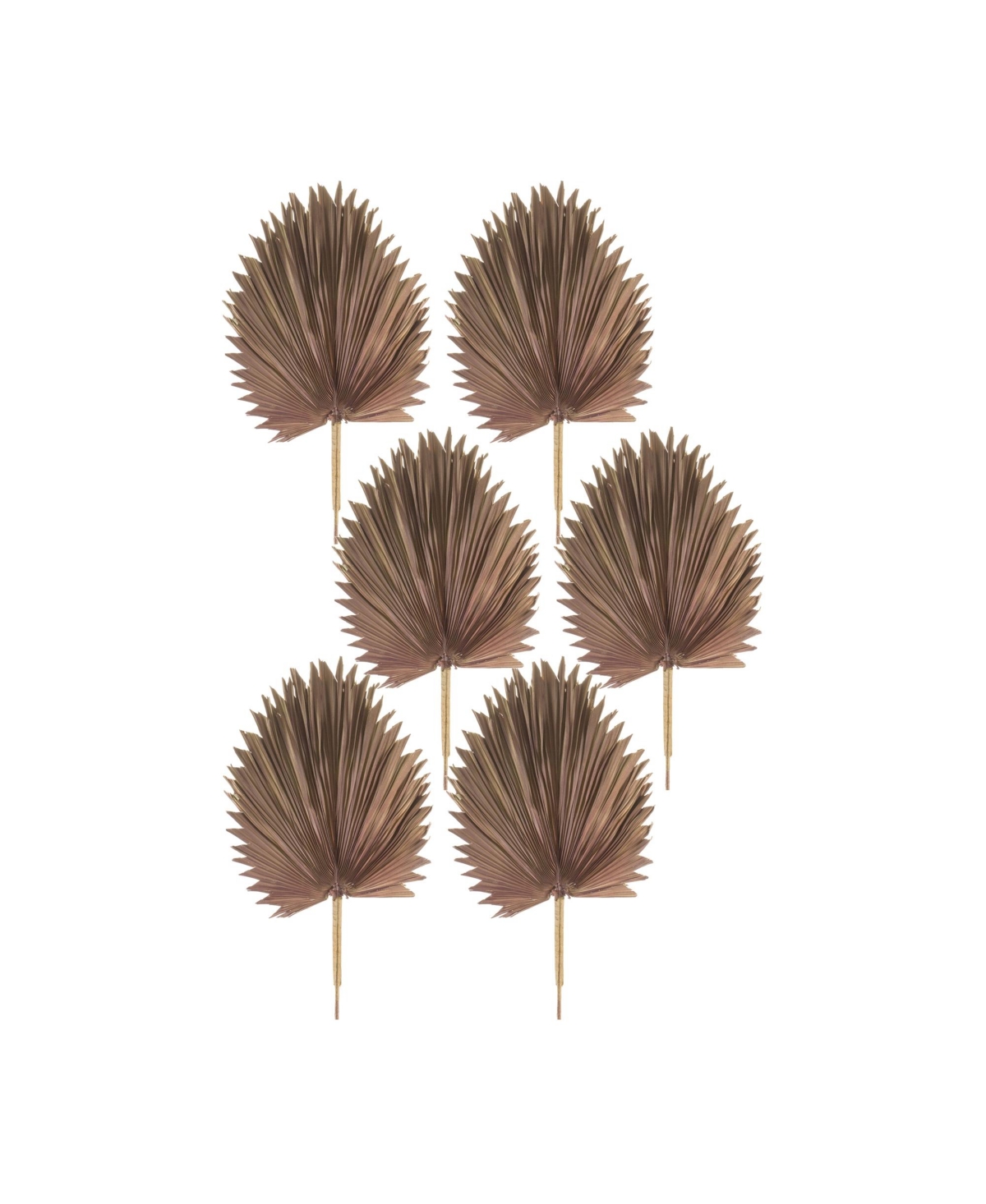Click here for Premium Quality Tropical Fan Palm Leaf Bundle Set... prices