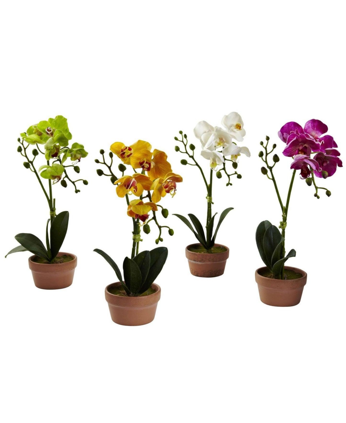 Click here for Slickblue Phalaenopsis with Clay Vase - Set of 4 E... prices