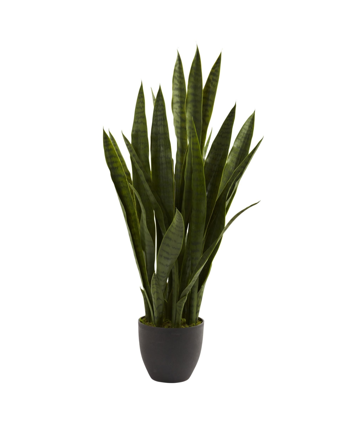 Click here for Slickblue Sansevieria Plant in Sleek Black Planter... prices