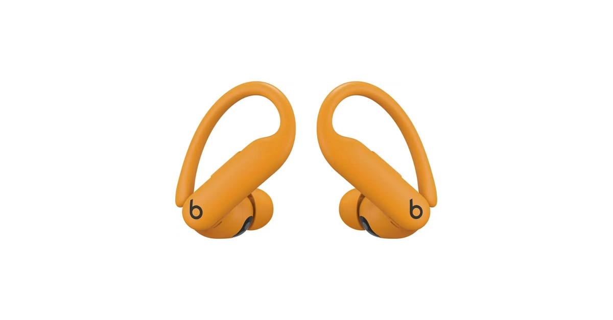Beats Powerbeats Pro 2 True Wireless Active Noise Canceling Earbuds