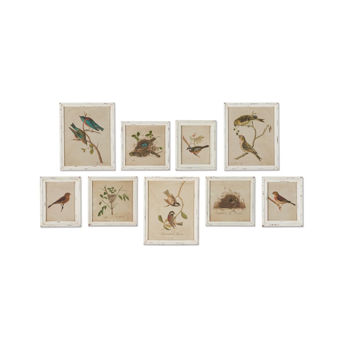Click here for Framed Aviary Bird & Nest Habitat Prints Set of 9... prices
