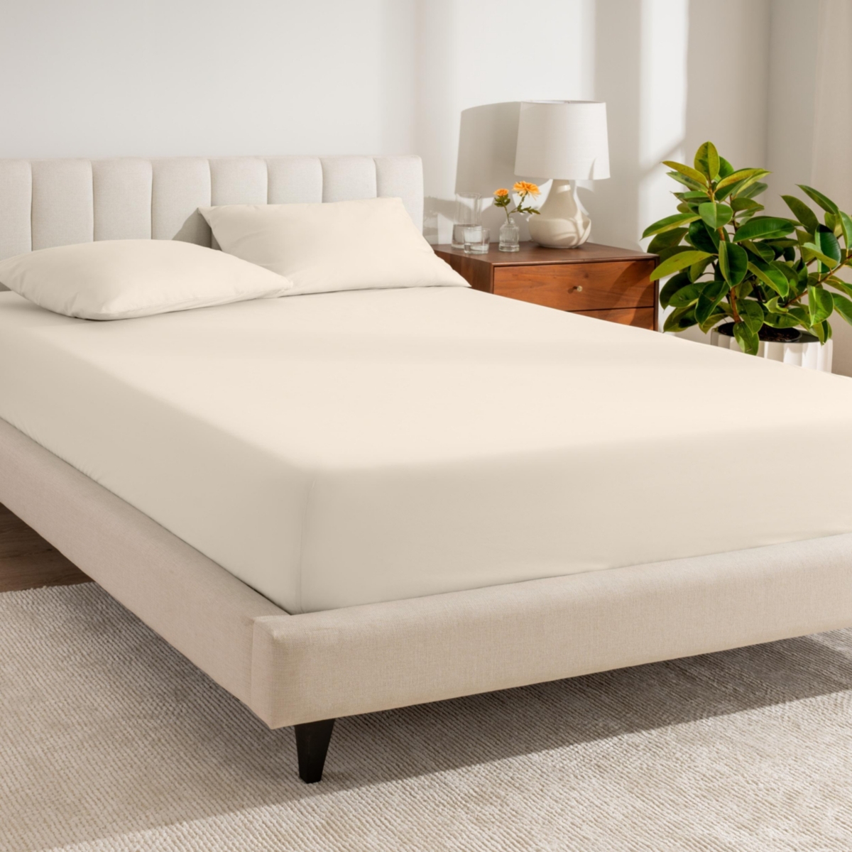 Click here for Bare Home Percale Fitted Sheet - Sand prices