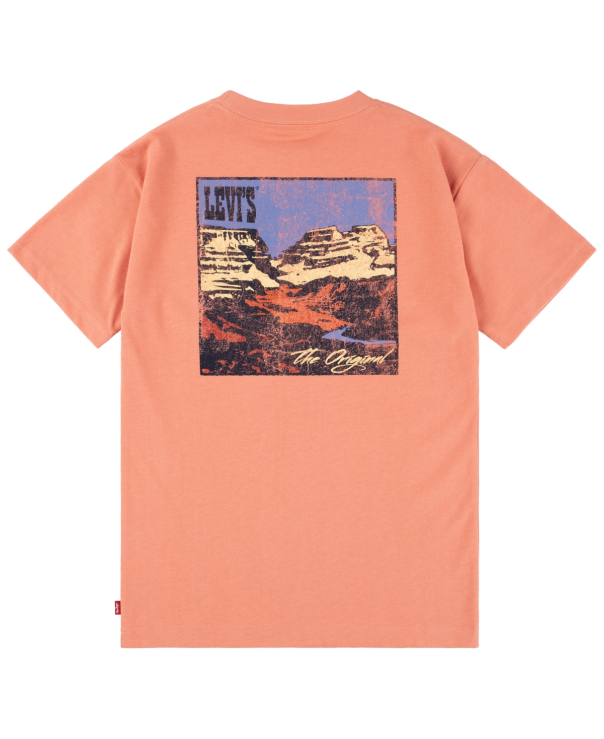 Levis Big Boys Canyon Landscape T-Shirt - Tawny orange