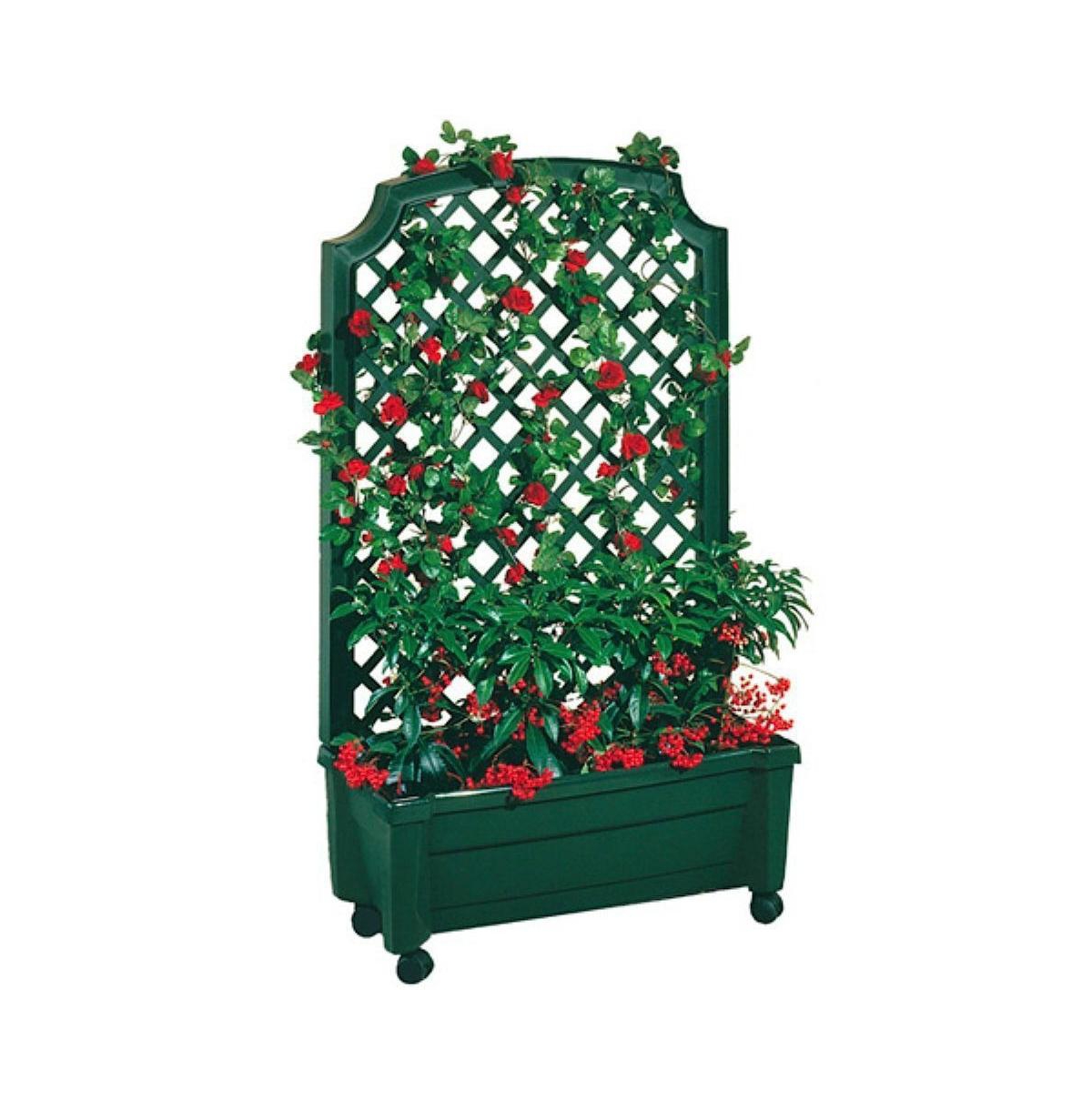 Click here for Indoor/Outdoor Polypropylene Wheeled Trellis Plant... prices