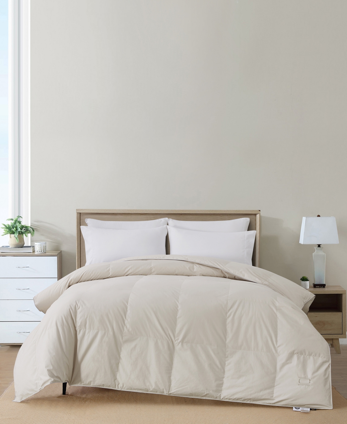 Click here for Nikki Chu 250-Thread Count Down Comforter  King -... prices