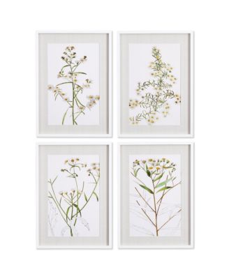Click here for Daisy Prints Set Of 4 prices