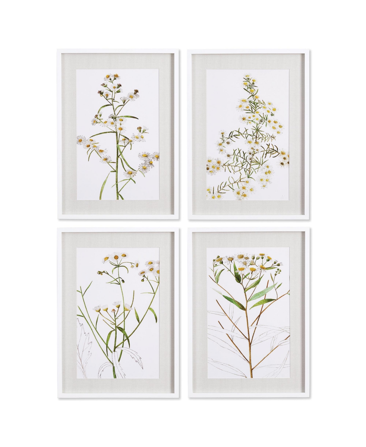 Click here for Daisy Prints Set of 4 - Green prices